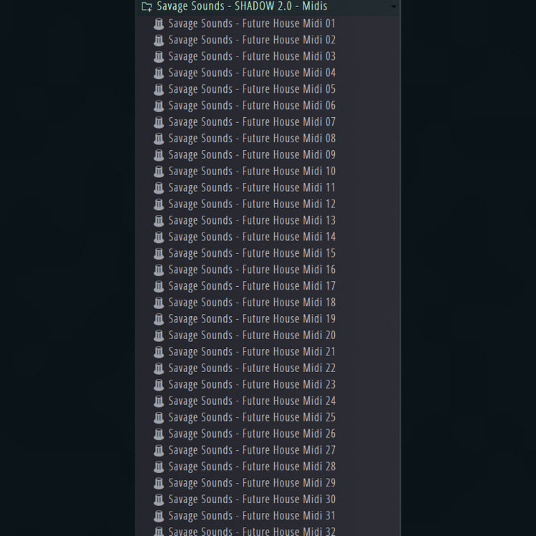 SHADOW 2.0 - Future House Essentials